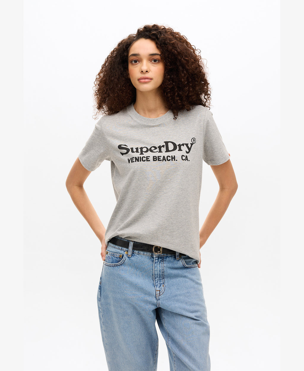 Venue Metallic Graphic Tee | Pumice Stone Marle – Superdry